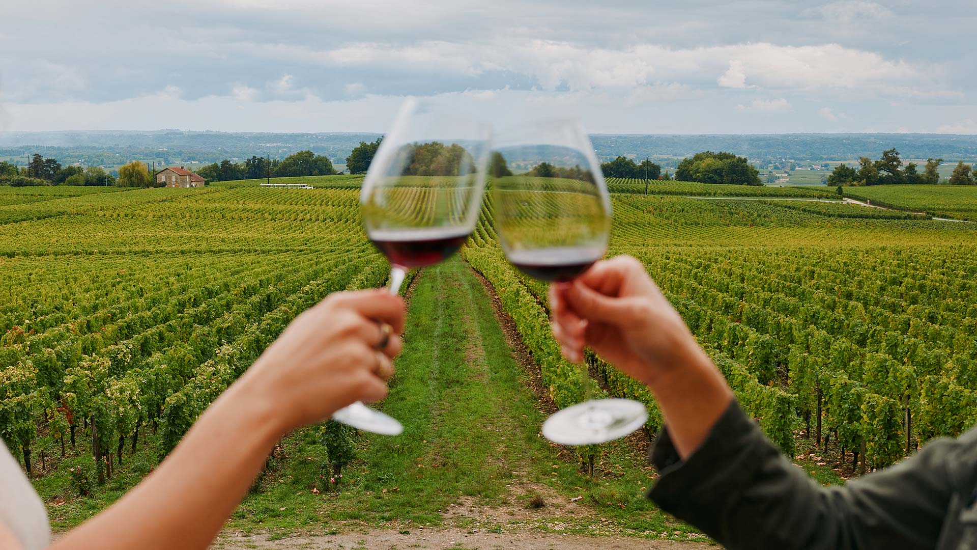 A Four-Day Culinary Journey Through Bordeaux, According to The MICHELIN ...